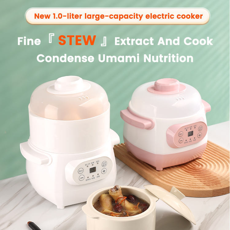 Reservation+Timing Electric Cooker Stew – Springmall X