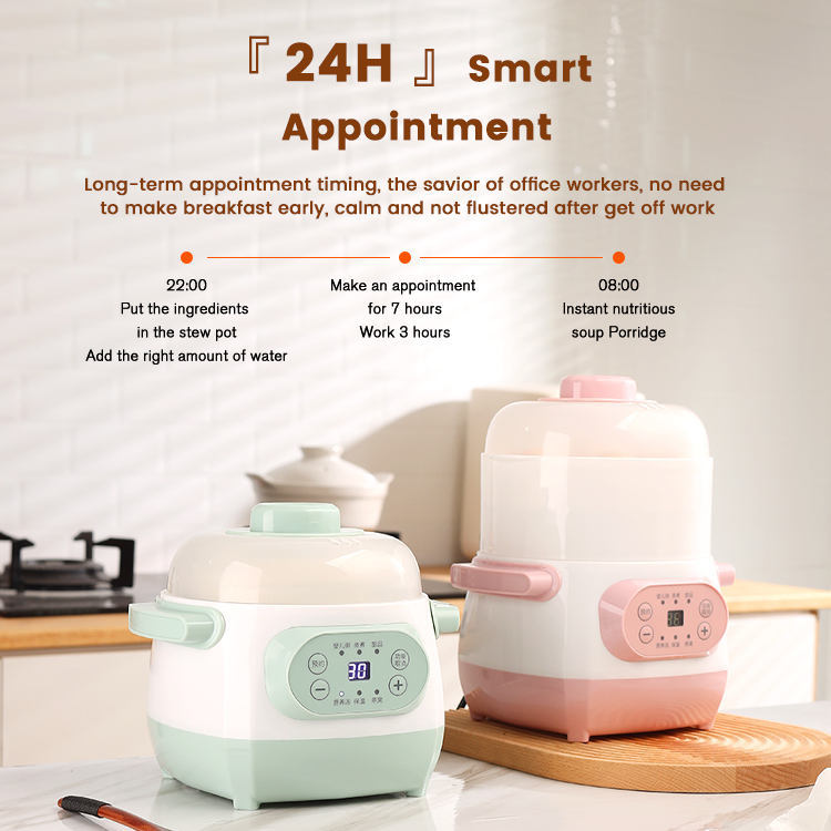 Reservation+Timing Electric Cooker Stew – Springmall X